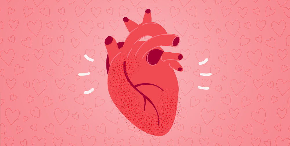 25 Fascinating Facts About Your Heart - Purely Inspired